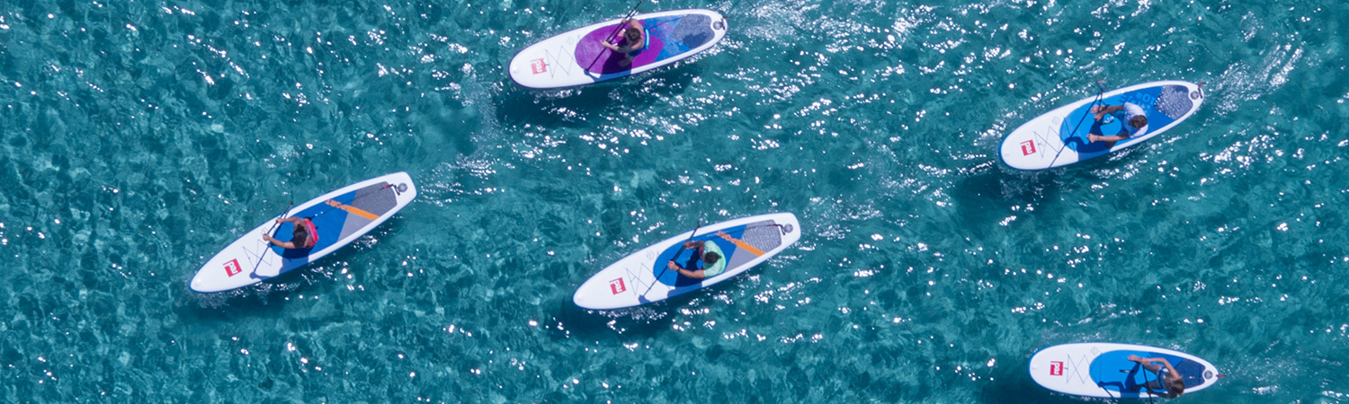 Stand up paddle boarding | Neilson