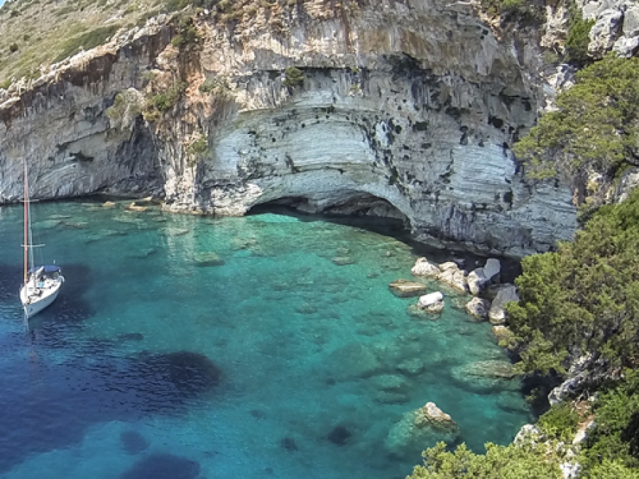 International Certificate of Competence Cert | Neilson