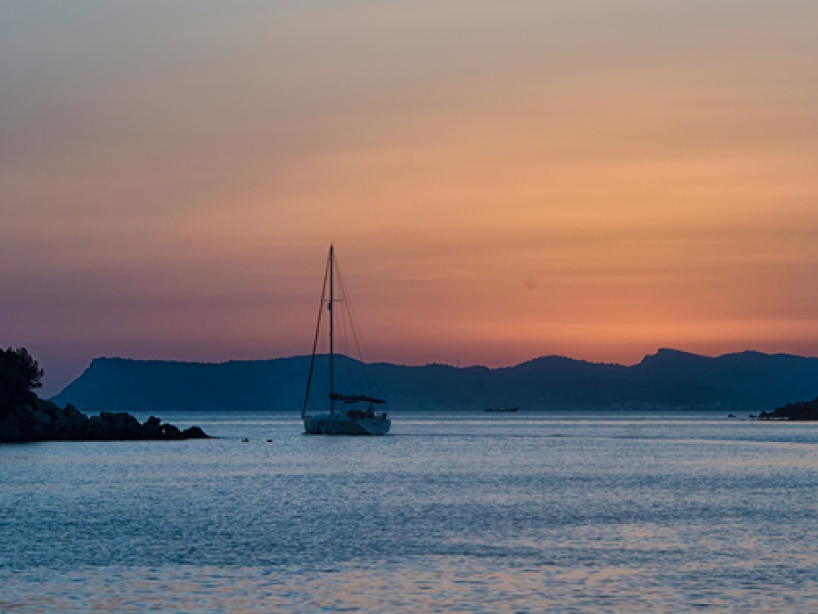 International Certificate of Competence Cert | Neilson