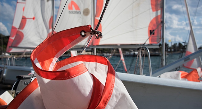 A Guide to Asymmetric Spinnaker Sailing tips | Neilson
