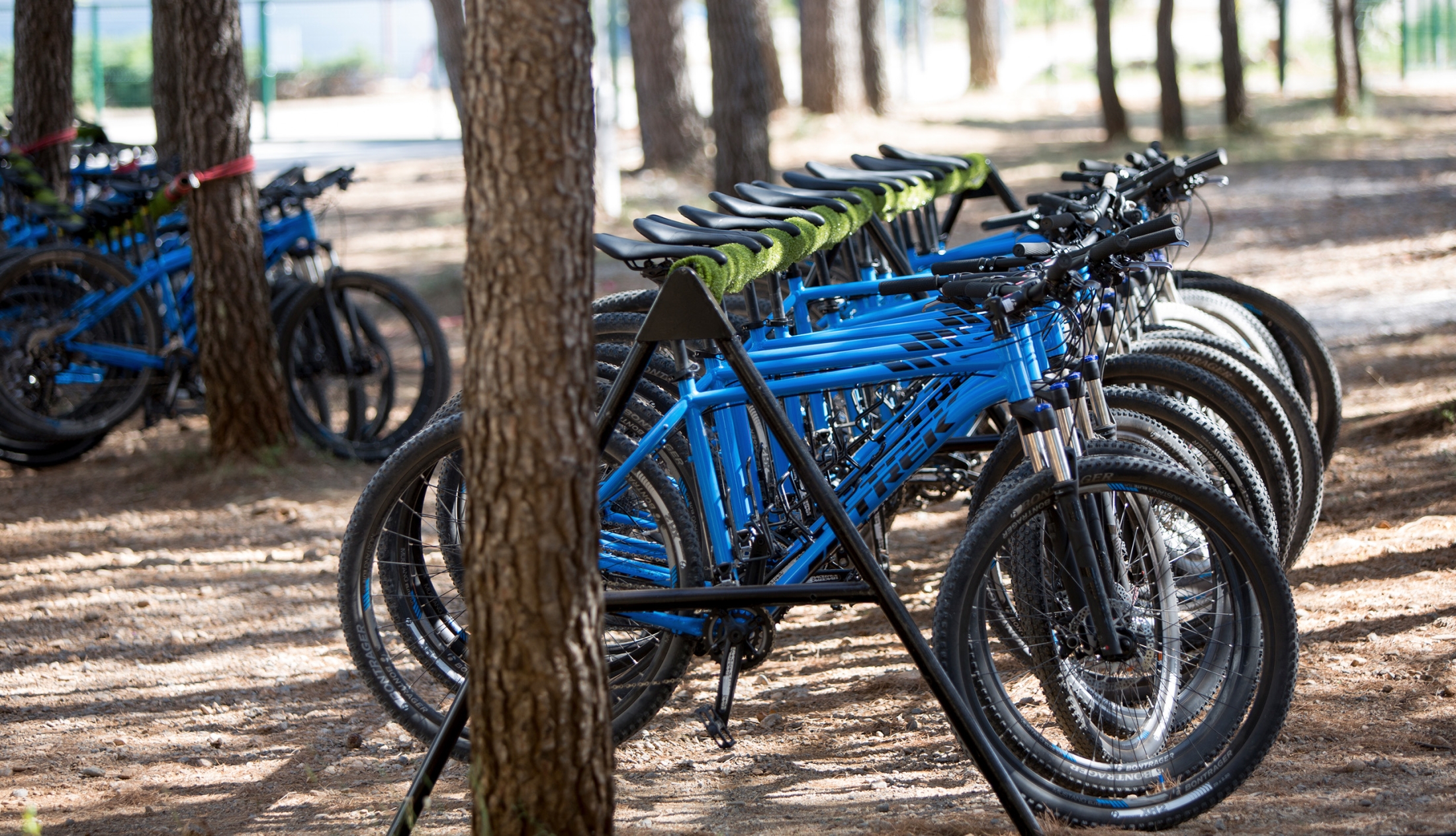 Alana Beachclub Holidays in Paklenica, Croatia | Neilson